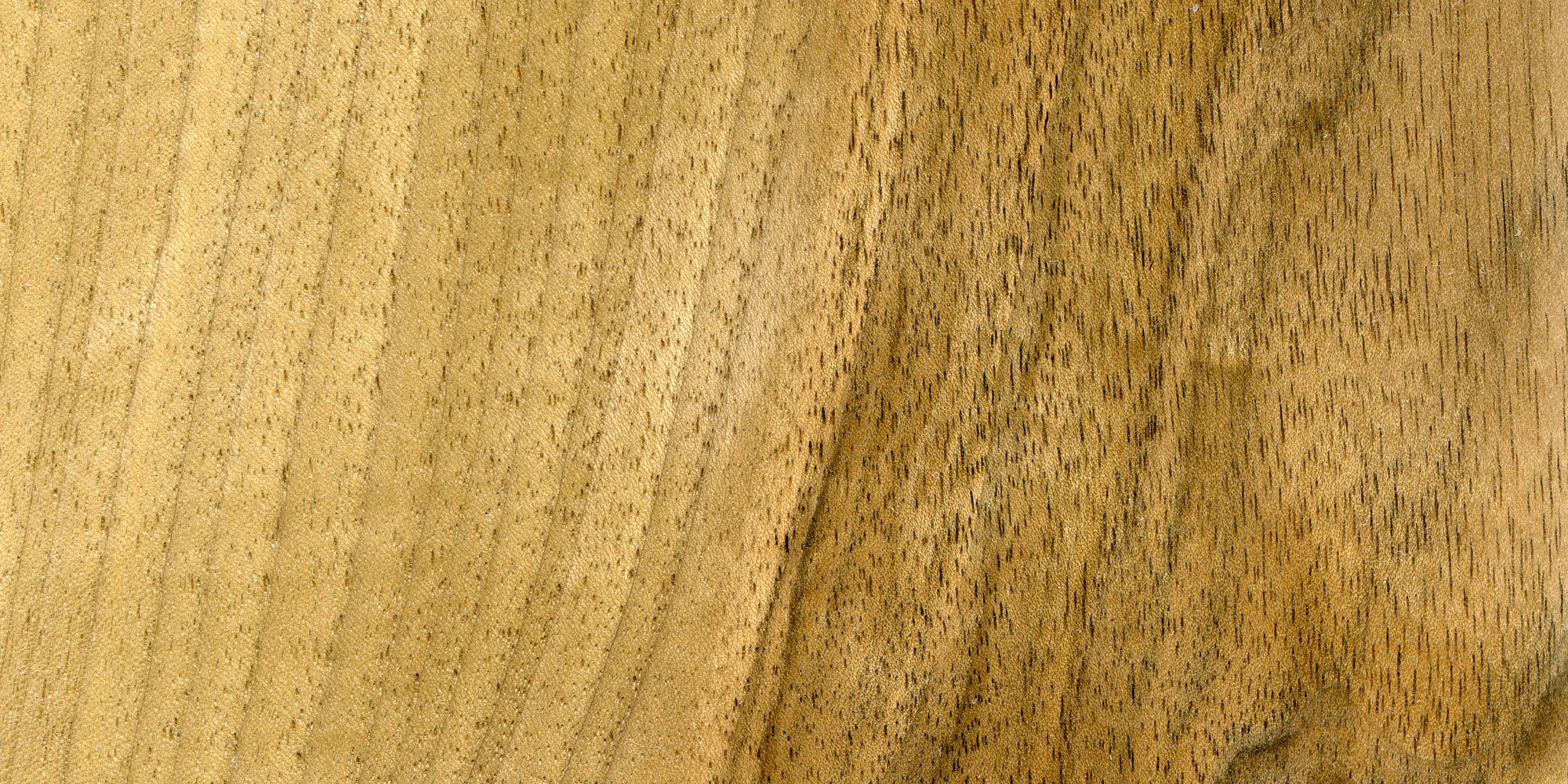 Oreh | Furnir Prodaja in izdelava - Aples d.o.o.